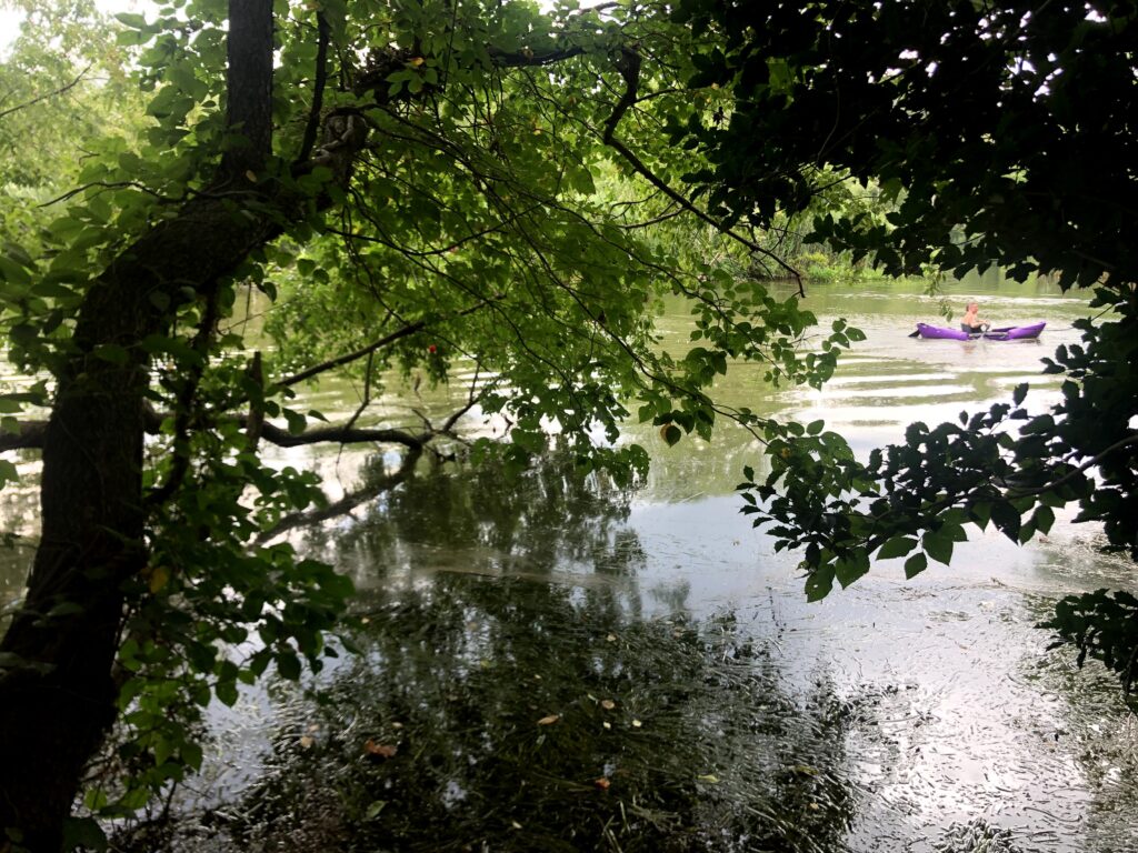 Gunpowder River Water Quality Update July 30th, 2021 - Gunpowder ...