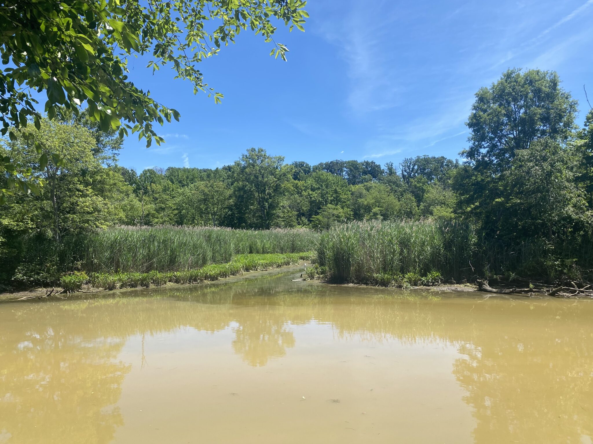Gunpowder River Water Quality Update July 8, 2025 - Gunpowder RIVERKEEPER®
