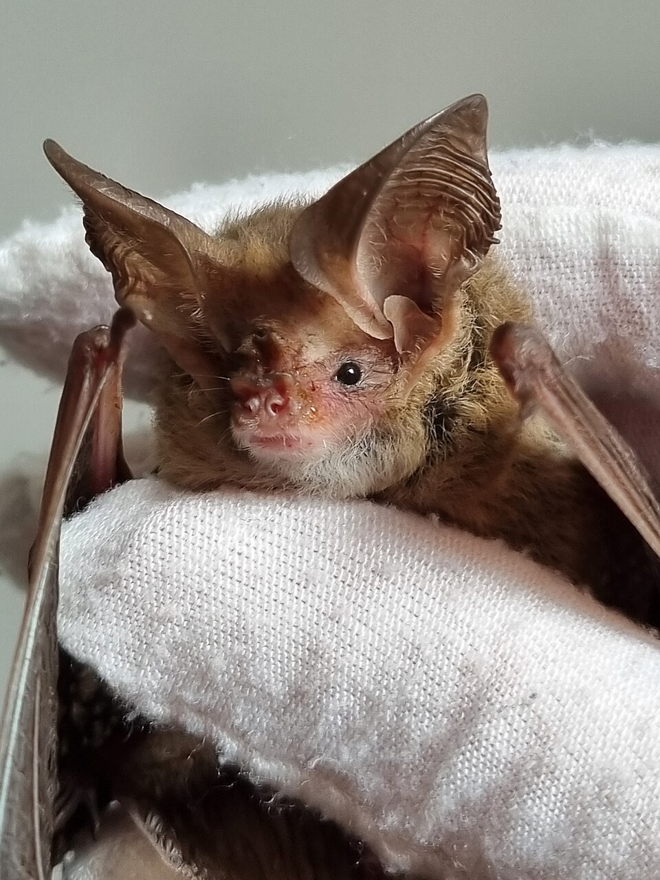 Gunpowder RIVERKEEPER® Submits Public Comment on Proposed Revisions to ...